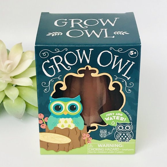 Toysmith | Toys | Grow Owl Kit | Poshmark